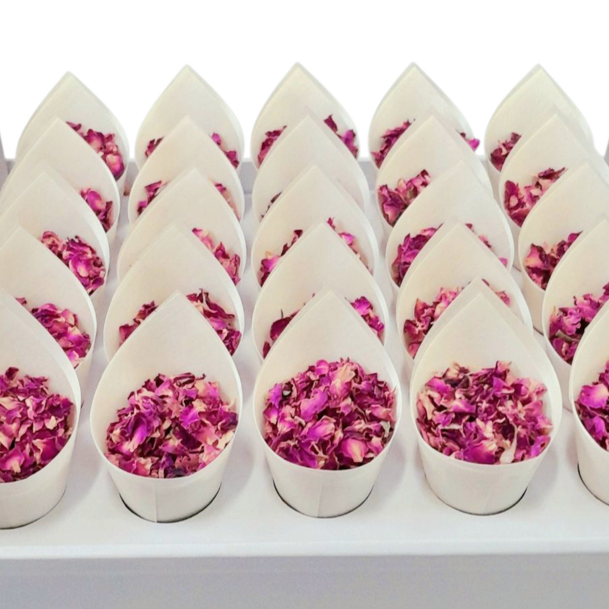 Flower Petal Confetti Bundle (Confetti & Cones) – Love Confetti